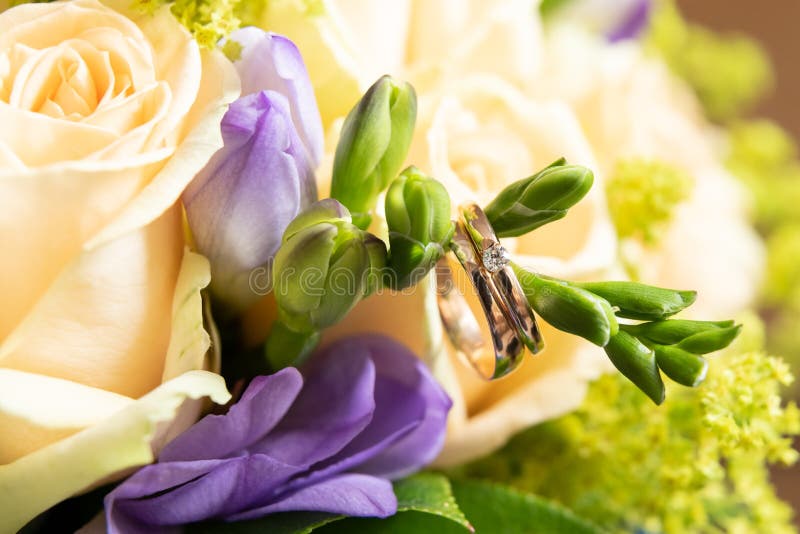 Bouquet with Beautiful Roses and Wedding Rings Stock Image - Image of ...