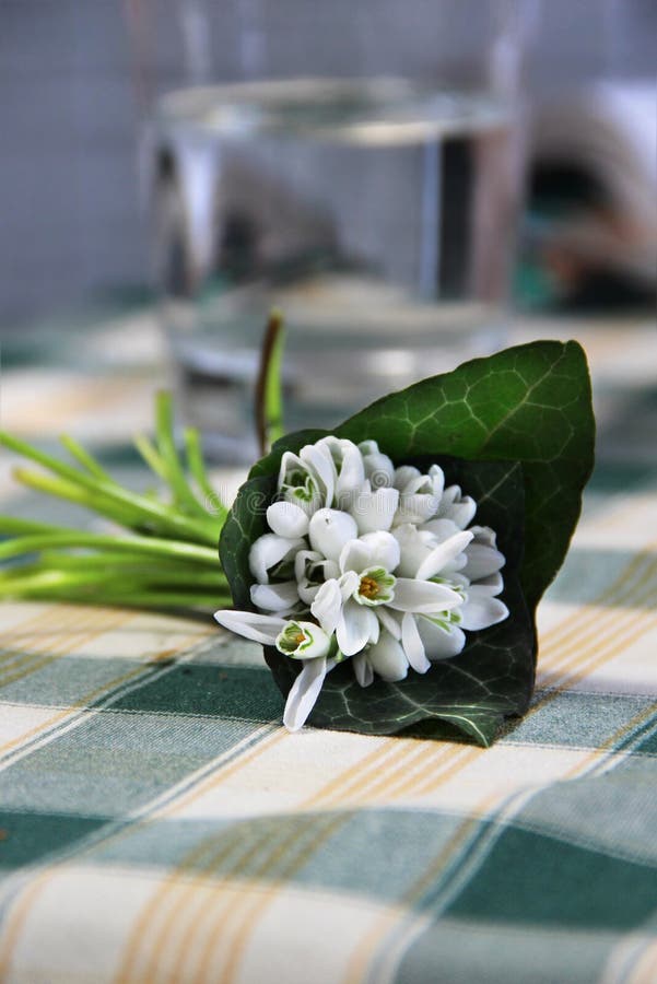 Beautiful Bouquet of Snowdrops Stock Photo - Image of cute, bloom: 29725042