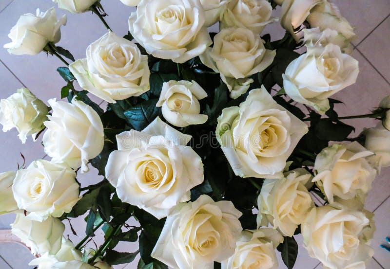 Bouquet of Beautiful Soft White Roses in a Vase Stock Image - Image of ...
