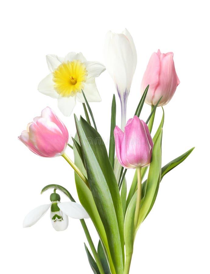 Bouquet of Beautiful Spring Flowers on White Background Stock Photo ...