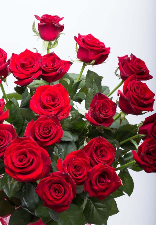Bouquet of Blossoming Dark Red Roses Stock Image - Image of event, leaf ...
