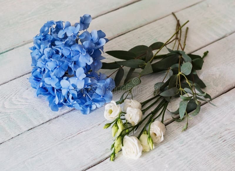 Bouquet with Blue Hydrangea, White Roses Stock Photo - Image of buds ...
