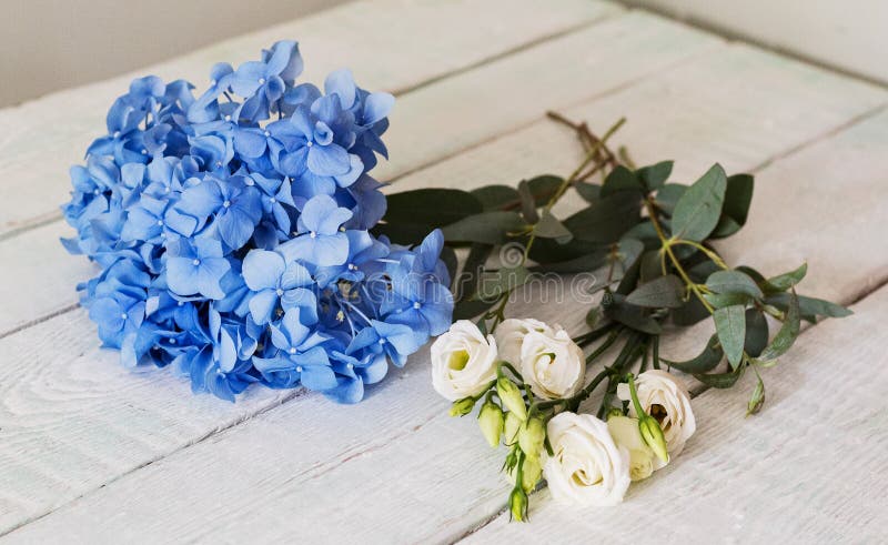 Bouquet with Blue Hydrangea, White Roses Stock Image - Image of organic ...