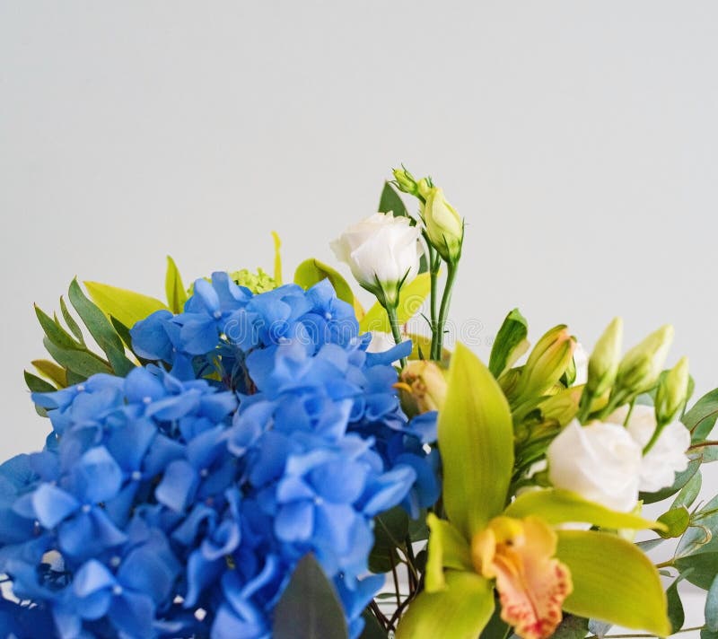 Bouquet with Blue Hydrangea, White Roses, Orchids Stock Photo - Image ...