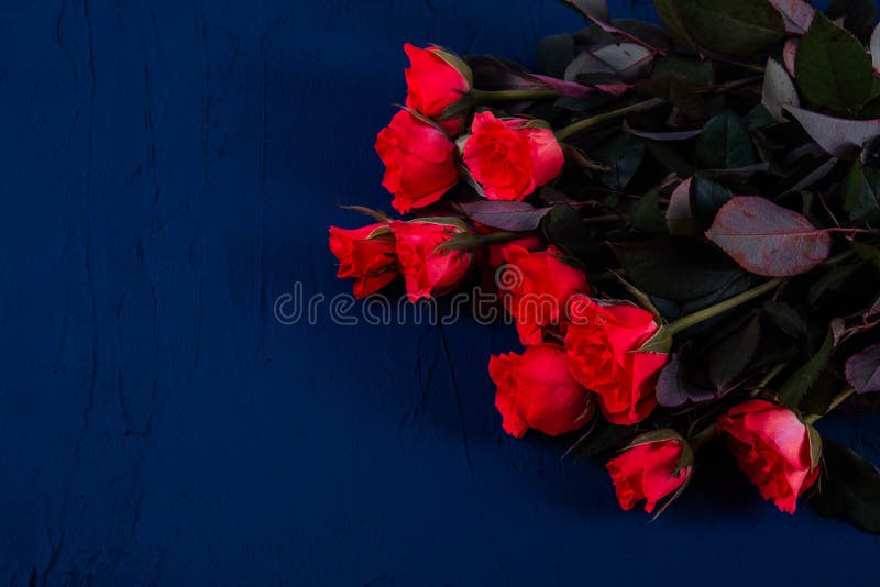 A Bouquet of Bright Red Roses Lies on a Table Stock Image - Image of ...