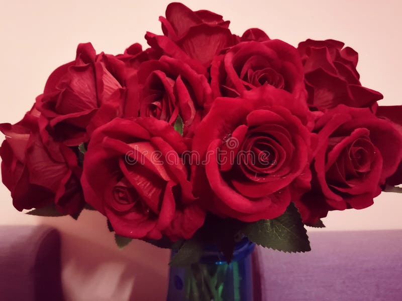 A Bouquet of Bright Red Roses Stock Image - Image of botany, bonsai ...