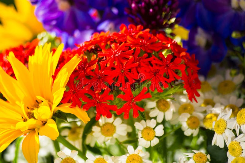 A Bouquet of Bright Spring Flowers of Various Types Stock Image - Image ...