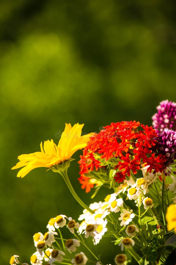 A Bouquet of Bright Spring Flowers of Various Types Stock Photo - Image ...