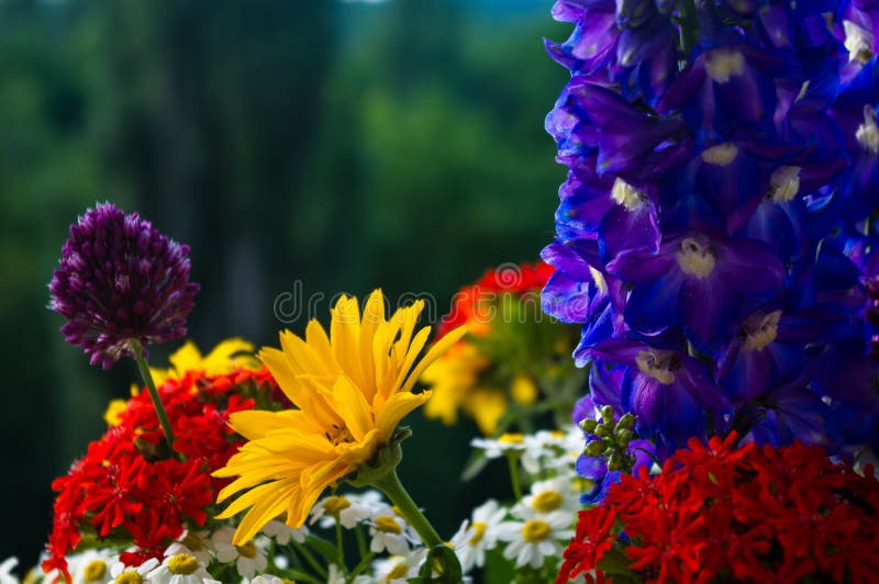 A Bouquet of Bright Spring Flowers of Various Types Stock Image - Image ...