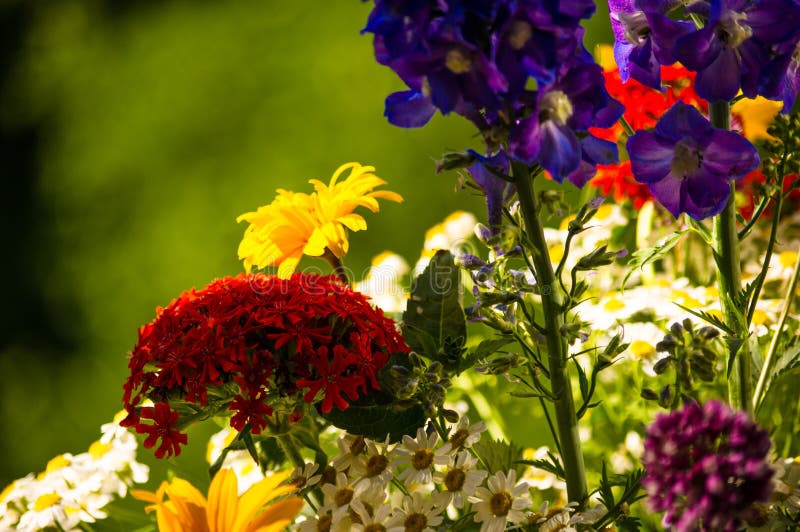 A Bouquet of Bright Spring Flowers of Various Types Stock Image - Image ...