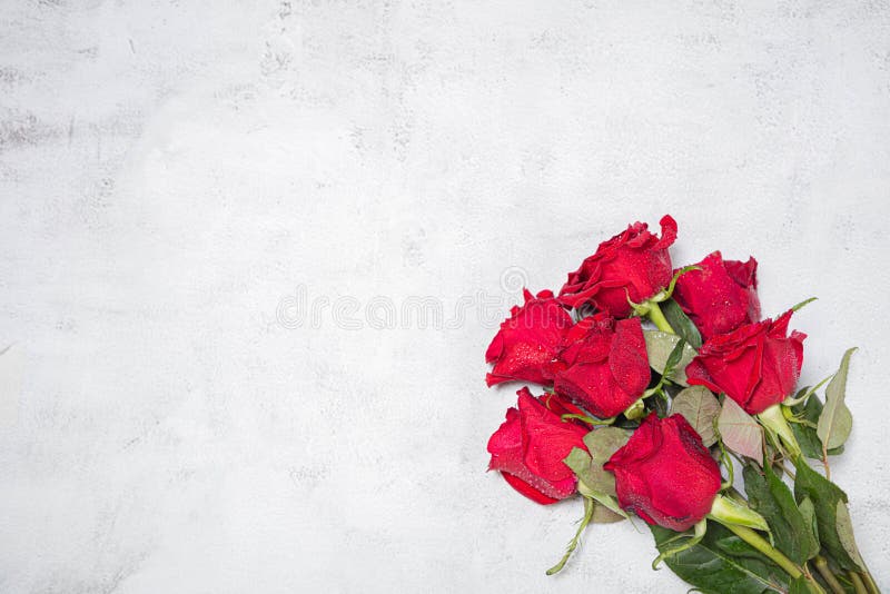 Bouquet of Burgundy Roses, on a Light Background. 7 Roses Stock Photo ...