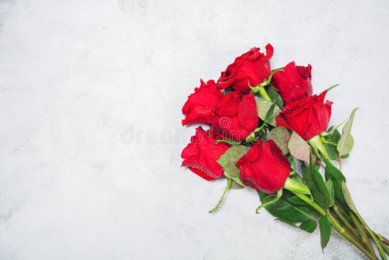 Bouquet of Burgundy Roses, on a Light Background. 7 Roses Stock Image ...