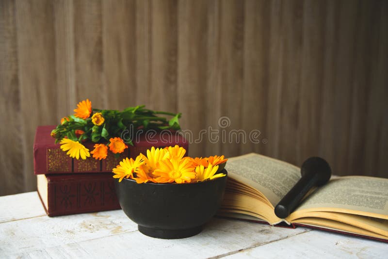 Bouquet of calendula stock photo. Image of iron, officinal - 75395766