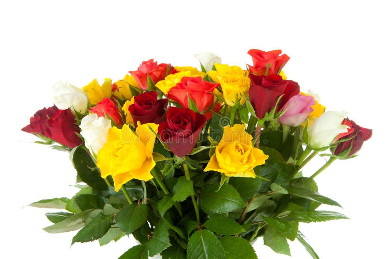 Bouquet of colorful roses stock image. Image of bouquet - 20549825