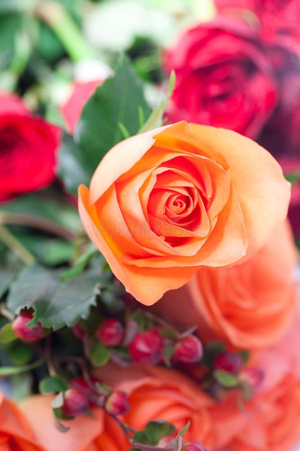 Bouquet of colorful roses stock image. Image of colorful - 29488149