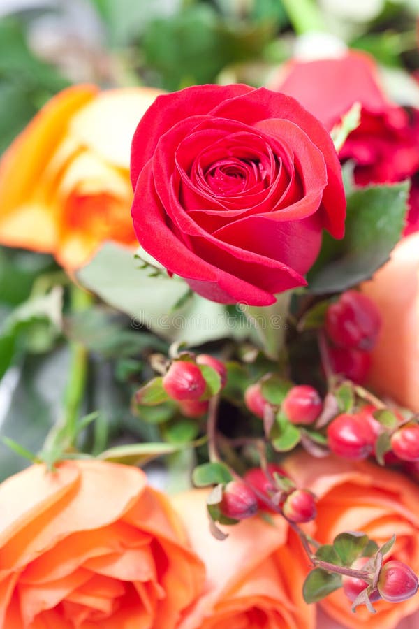 Bouquet of colorful roses stock photo. Image of season - 29488166