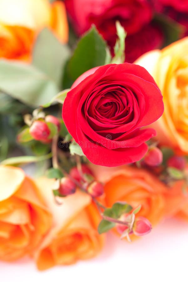 Bouquet of colorful roses stock image. Image of abundance - 29488183