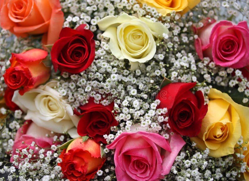 Bouquet of Colorful Roses stock photo. Image of bunch - 58227300