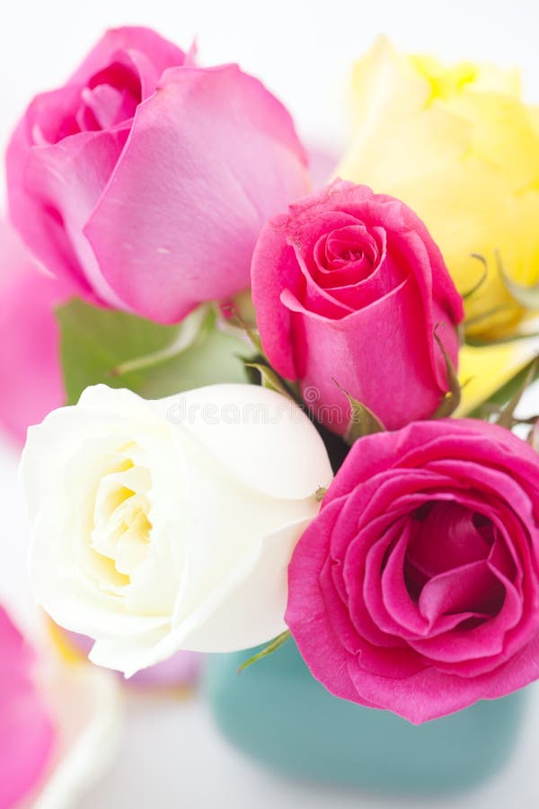 Bouquet of colorful roses stock image. Image of beautiful - 29858887