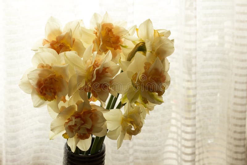 Bouquet of Daffodils in the Interior. Flowers Against the Backdrop of a ...