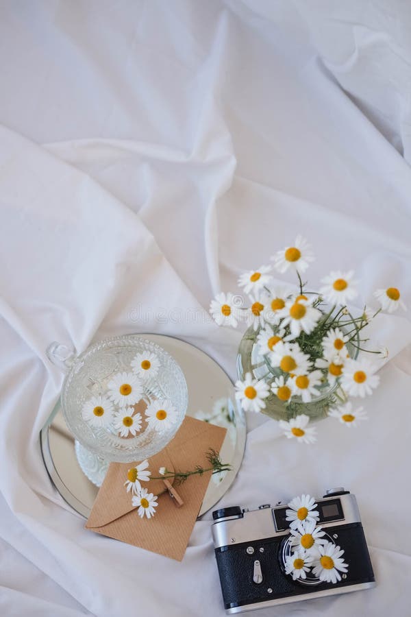 A Bouquet of Daisies in a Glass Vase and an Old Camera on a White Bed ...