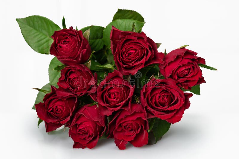 Bouquet of dark red roses stock photo. Image of wedding - 364774464