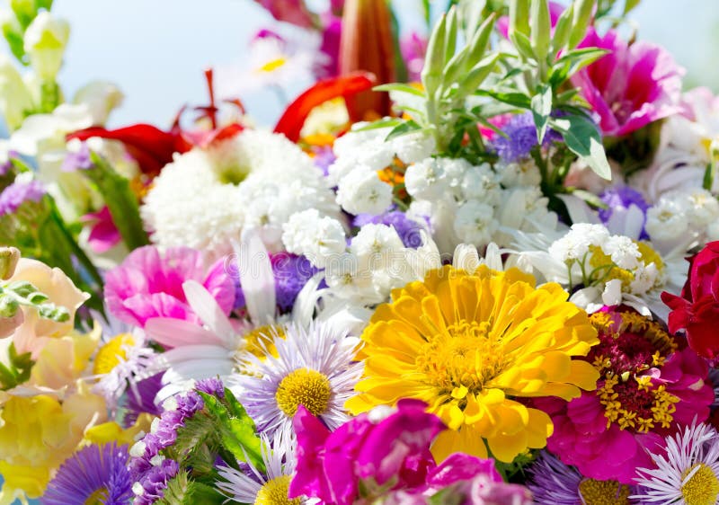 Bouquet des fleurs d'été photo stock. Image of groupe - 56876006