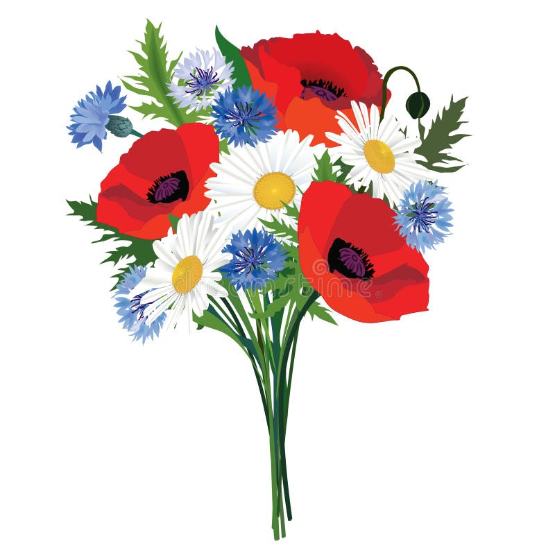 Bouquet de fleur. illustration stock. Illustration du copie - 32993033
