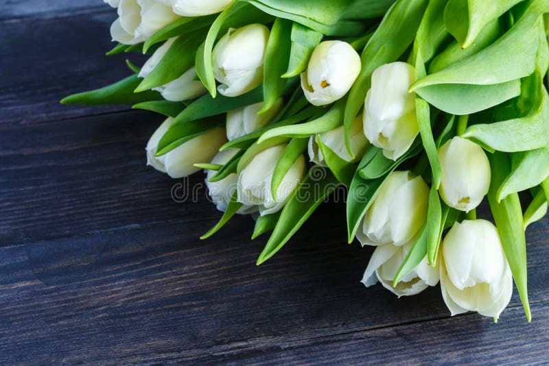 Bouquet De La Tulipe Blanche Image stock - Image du centrale, pétale ...