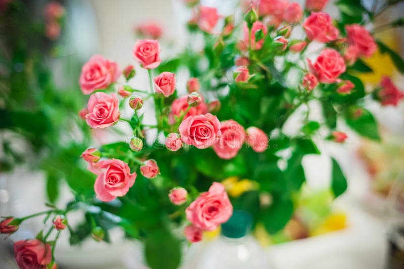 Bouquet De Petites Roses Roses Photo stock - Image du beau, rouge: 58416694