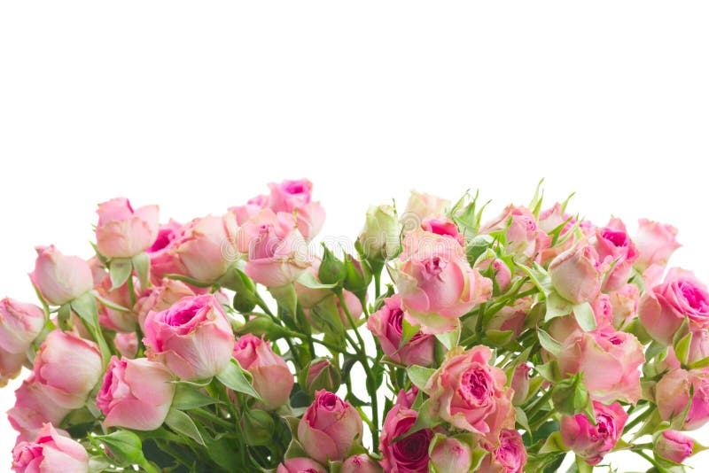 Bouquet De Petites Roses Roses Photo stock - Image du valentin ...