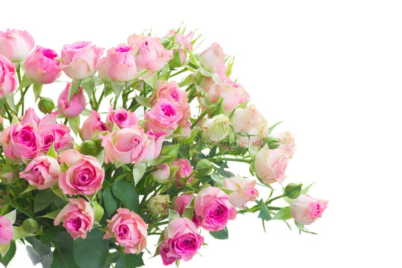 Bouquet De Petites Roses Roses Photo stock - Image du fond, fleur: 94342774