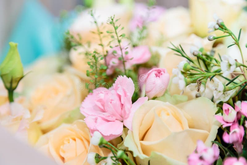 A Bouquet of Delicate Cream-colored Roses Stock Image - Image of cream ...