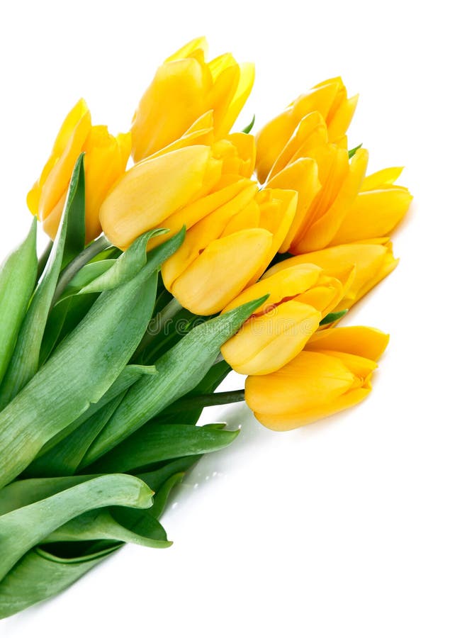 La Tulipe Jaune Fleurit Le Bouquet Image stock - Image du saisonnier ...