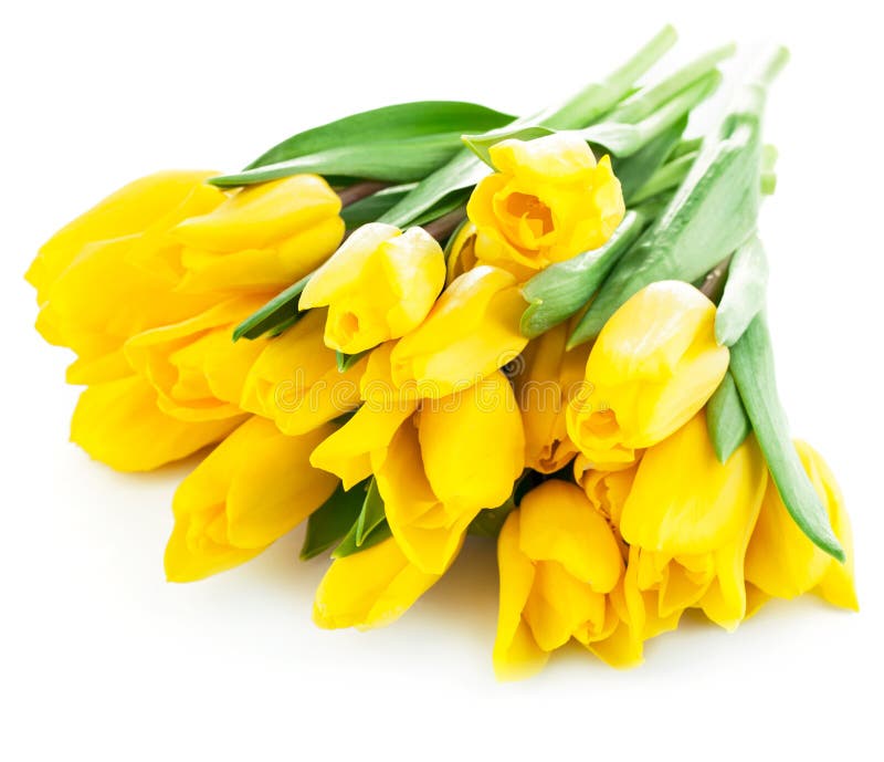 La Tulipe Jaune Fleurit Le Bouquet Image stock - Image du saisonnier ...