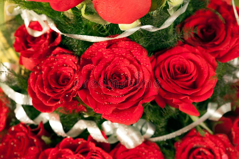 Bouquet Des Fleurs Roses De Rouge Image stock - Image du cadeau ...