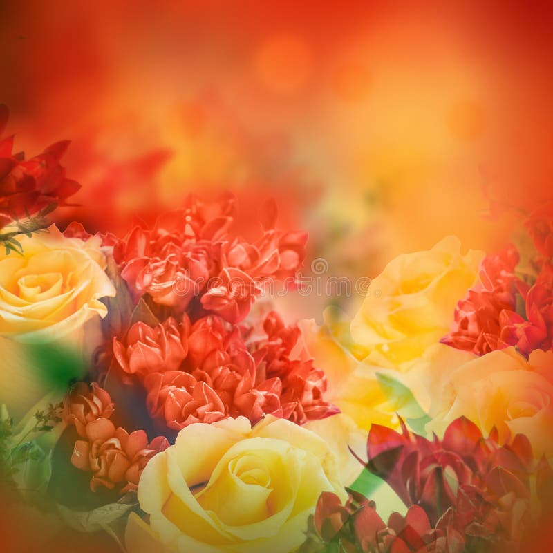 Bouquet des roses jaunes image stock. Image du jaunes - 44024349