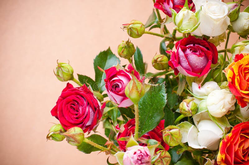 Bouquet Des Roses Multicolores Photo stock - Image du commercial ...