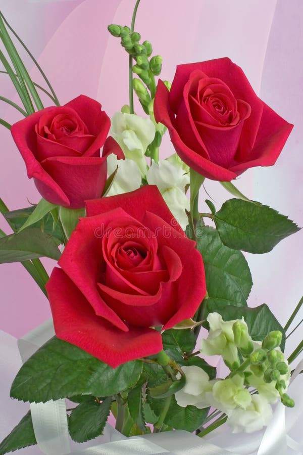 Bouquet des roses rouges photo stock. Image du groupe - 14994650