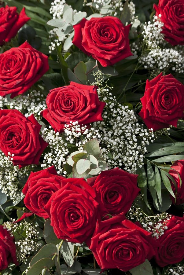 Bouquet des roses rouges photo stock. Image du groupe - 14994650