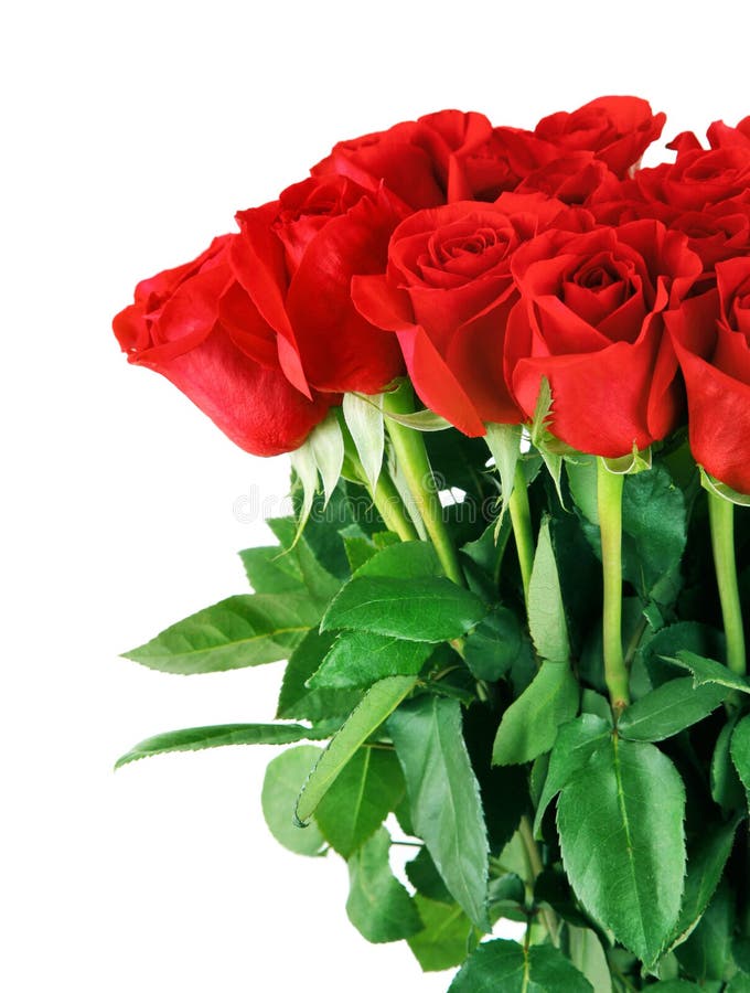Bouquet des roses rouges photo stock. Image du lame, anniversaire ...