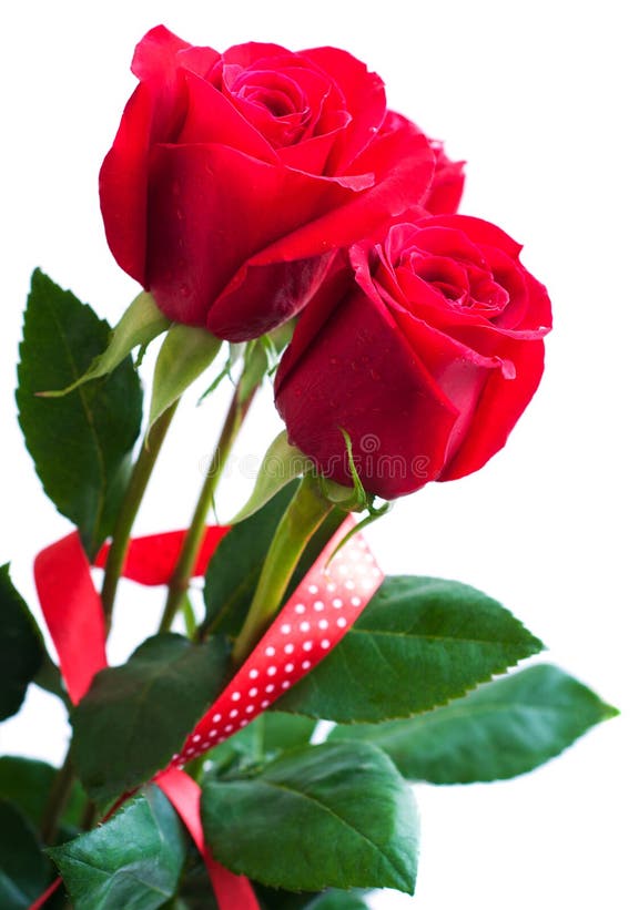 Bouquet des roses rouges image stock. Image du beau, groupe - 27110029