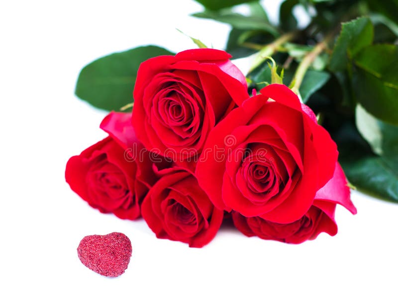 Bouquet des roses rouges photo stock. Image du bouquet - 28073708