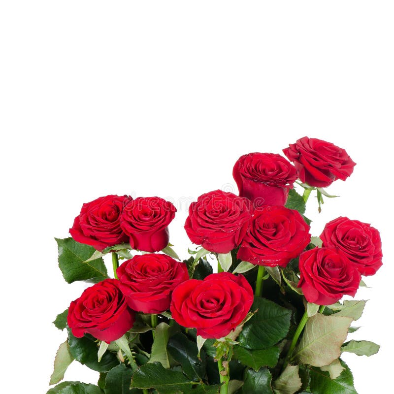 Bouquet des roses rouges image stock. Image du bouquet - 31453685
