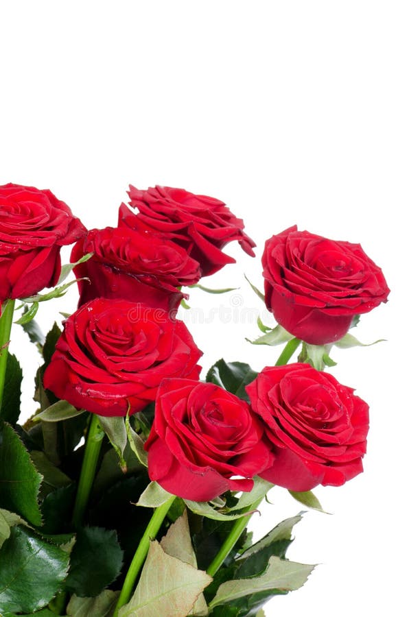 Bouquet Des Roses Rouges D'isolement Sur Le Fond Blanc Image stock ...