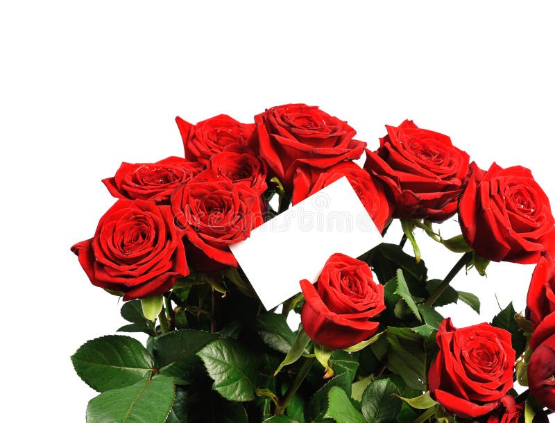 Bouquet des roses rouges image stock. Image of passion - 36639823