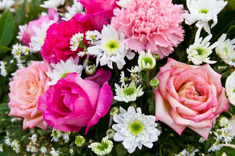 Bouquet Des Roses Rouges Et Roses Image stock - Image du cadeau, fond ...