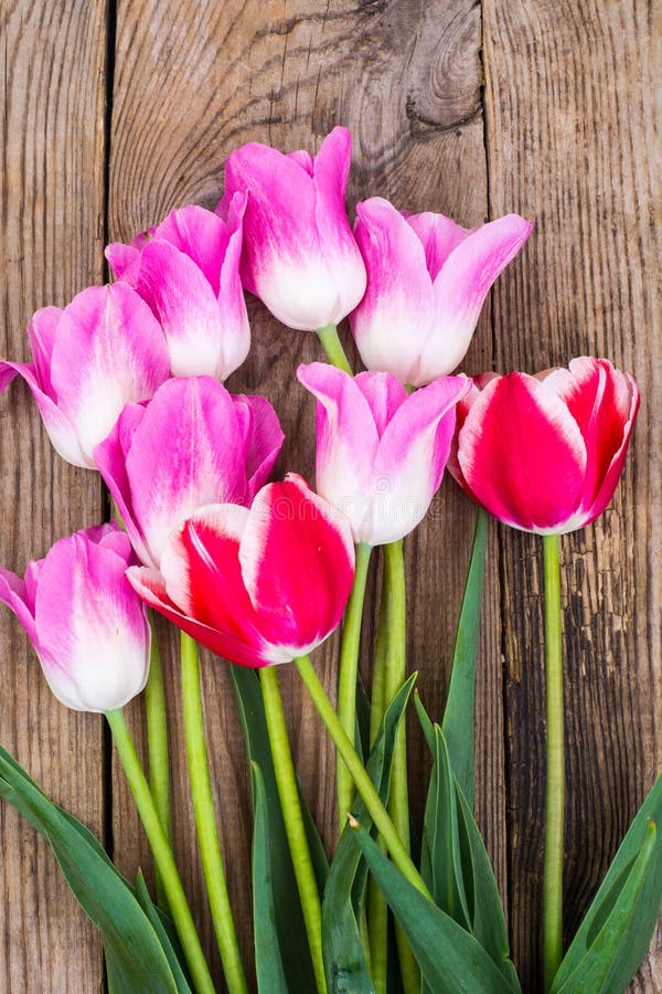 Bouquet of Different Color Tulips Stock Photo - Image of bouquet ...
