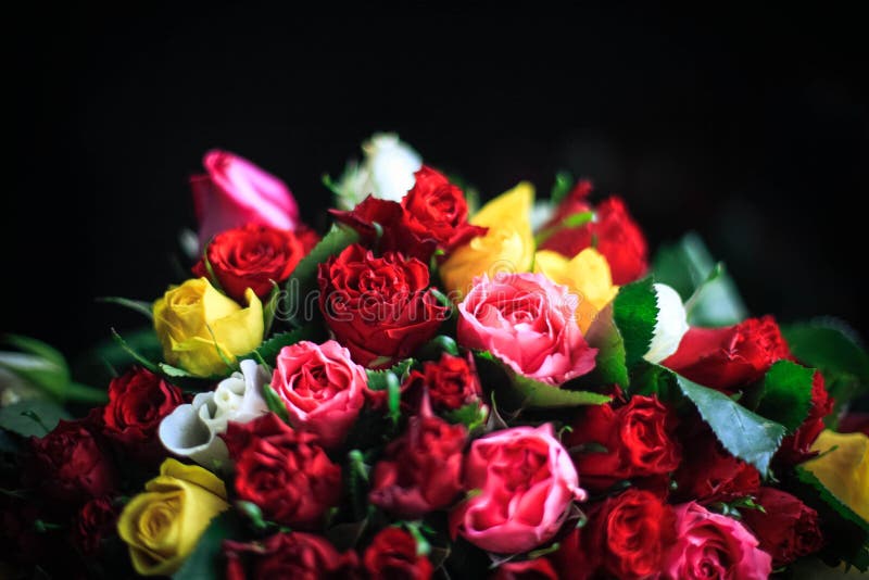 Bouquet of Different Colorful Roses on Black Background Stock Photo ...