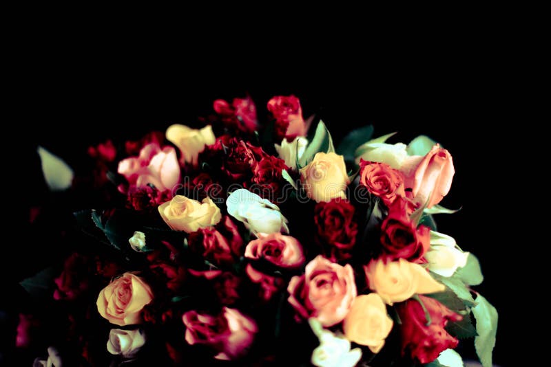 Bouquet of Different Colorful Roses on Black Background Stock Image ...